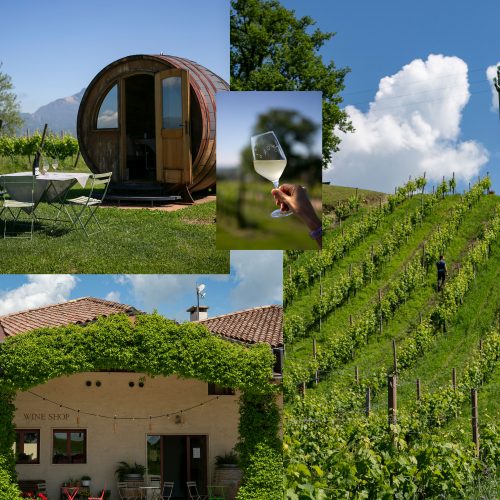 Partly Cloudy, Fully Dry:Sui Lieviti Transforms Traditional Prosecco ...