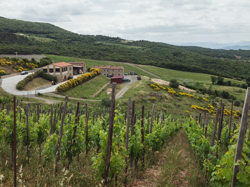Le Tenute del Leone Alato Acquires Duemani - Wine & Spirits Magazine