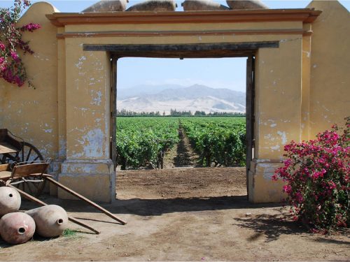 A Guide to Peruvian Pisco - Wine & Spirits Magazine