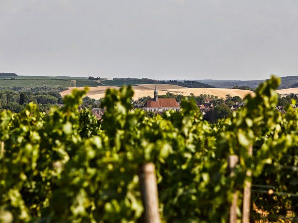Domaines Barons de Rothschild Acquires William Fèvre - Wine & Spirits ...